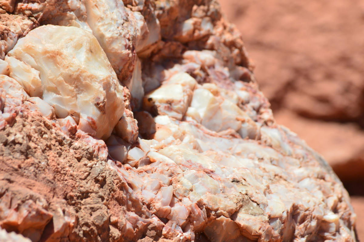 Trump postpones Denmark trip after prime minister refuses to sell ...